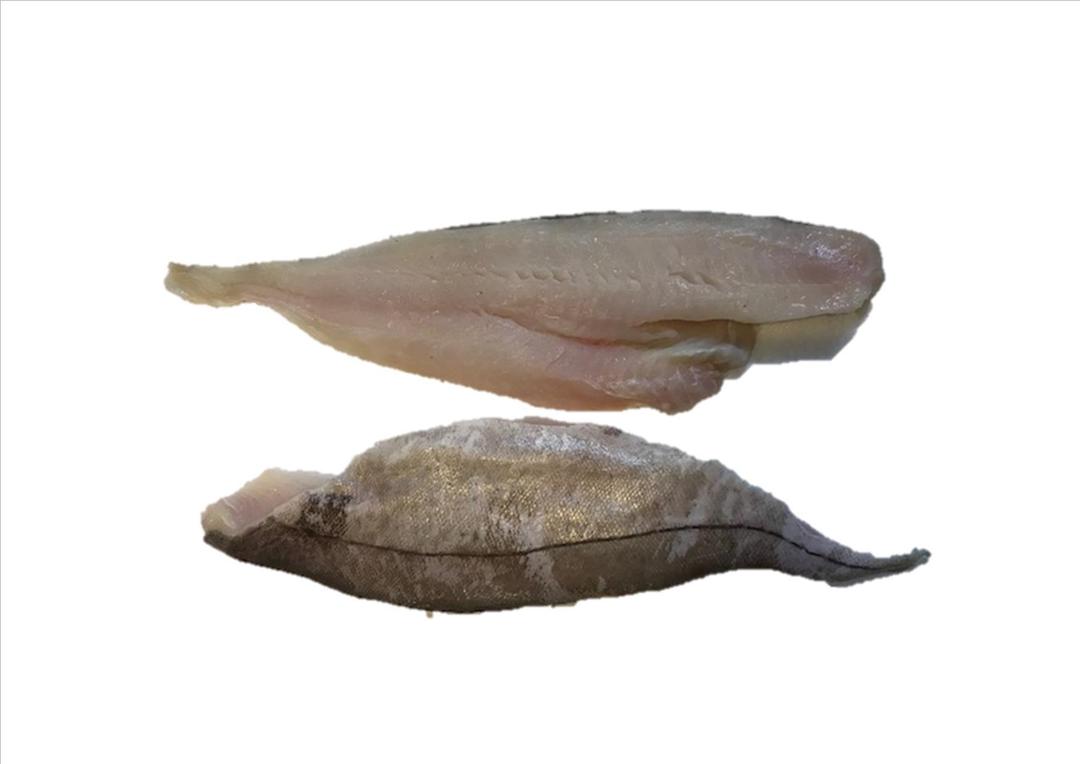 Fresh Haddock Fillets (Pack of 2) – Porterford Butchers | Greater London